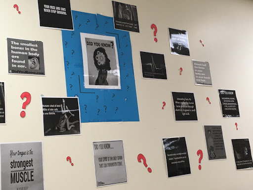 Cannock Chase Hospital Customer Service Number 01543 572757